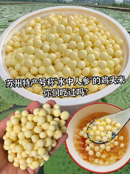 鸡头米几月份上市_新鲜鸡头米什么时候吃最好-第1张图片-山城妙识 鸡头米几月份上市_新鲜鸡头米什么时候吃最好-第1张图片-山城妙识