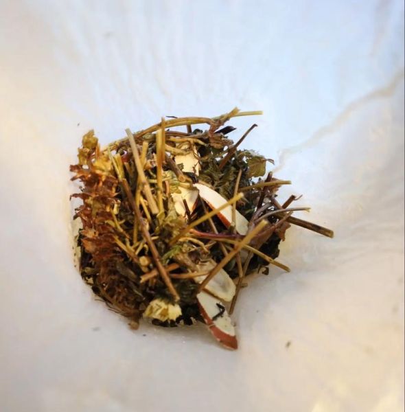 龟苓膏怎么熬制_龟苓膏配方比例-第1张图片-山城妙识