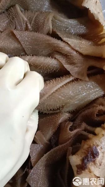 牛百叶怎么洗才干净_牛百叶清洗的正确方法-第3张图片-山城妙识 牛百叶怎么洗才干净_牛百叶清洗的正确方法-第3张图片-山城妙识