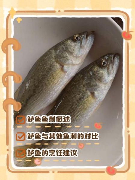 淡水鲈鱼刺多吗_适合宝宝吃吗-第1张图片-山城妙识