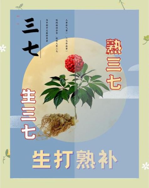 田七粉的功效与作用_田七粉怎么吃效果最好-第2张图片-山城妙识 田七粉的功效与作用_田七粉怎么吃效果最好-第2张图片-山城妙识