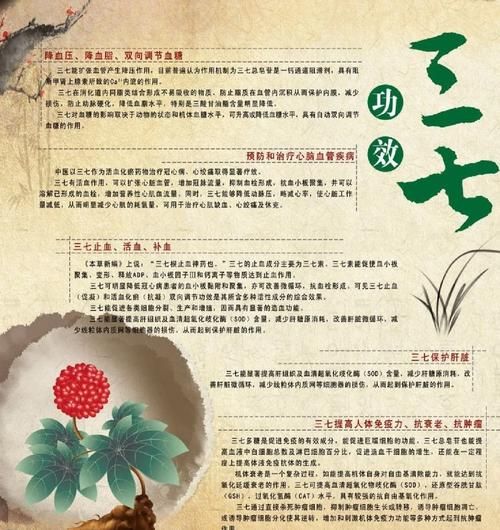 田七粉的功效与作用_田七粉怎么吃效果最好-第3张图片-山城妙识 田七粉的功效与作用_田七粉怎么吃效果最好-第3张图片-山城妙识