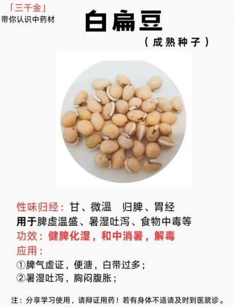 白扁豆炒与不炒的区别_生白扁豆和炒白扁豆哪个好-第3张图片-山城妙识