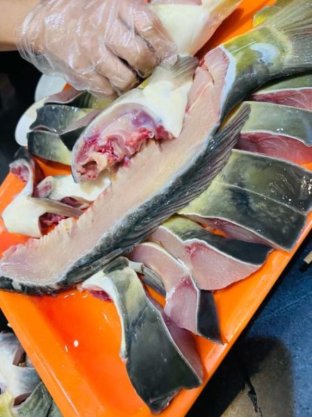 裸斑鱼多少钱一斤_裸斑鱼价格为什么差异大-第1张图片-山城妙识 裸斑鱼多少钱一斤_裸斑鱼价格为什么差异大-第1张图片-山城妙识