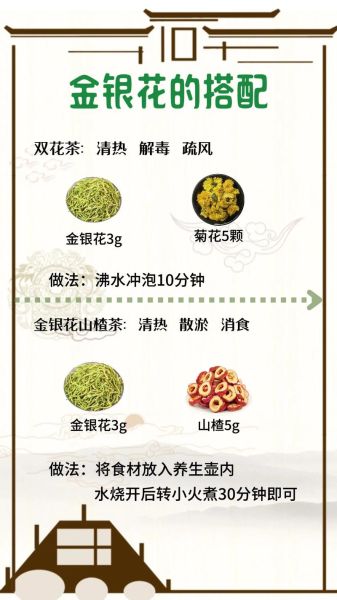 长期喝金银花泡水的好处和坏处_金银花泡水可以天天喝吗-第1张图片-山城妙识 长期喝金银花泡水的好处和坏处_金银花泡水可以天天喝吗-第1张图片-山城妙识