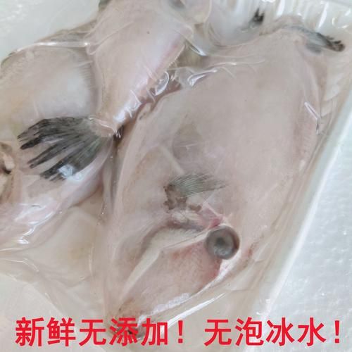 扒皮鱼学名是什么_扒皮鱼学名和俗称区别-第2张图片-山城妙识 扒皮鱼学名是什么_扒皮鱼学名和俗称区别-第2张图片-山城妙识