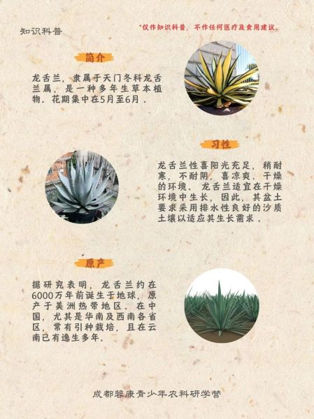 龙舌兰有毒吗_龙舌兰汁液对人有什么危害-第1张图片-山城妙识