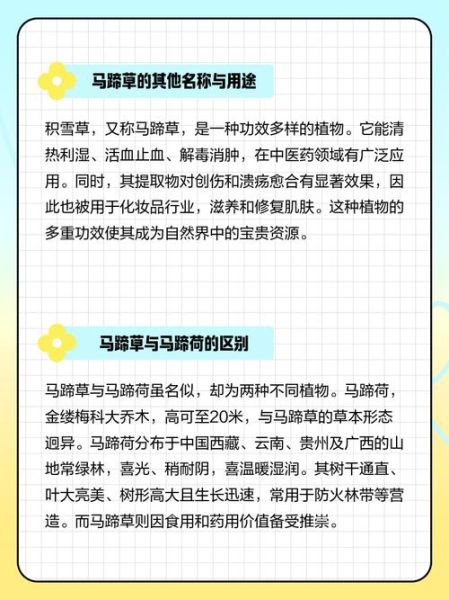 马蹄草的功效与作用_马蹄草可以天天泡水喝吗-第3张图片-山城妙识 马蹄草的功效与作用_马蹄草可以天天泡水喝吗-第3张图片-山城妙识