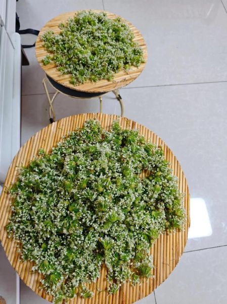 韭菜花怎么保存_韭菜花可以冷冻吗-第3张图片-山城妙识