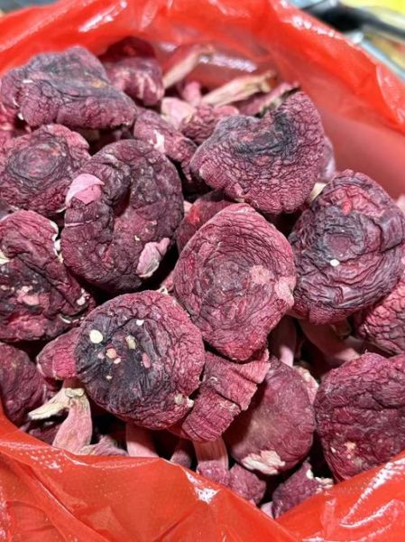 红蘑菇的功效与作用_红蘑菇怎么吃最好-第3张图片-山城妙识 红蘑菇的功效与作用_红蘑菇怎么吃最好-第3张图片-山城妙识