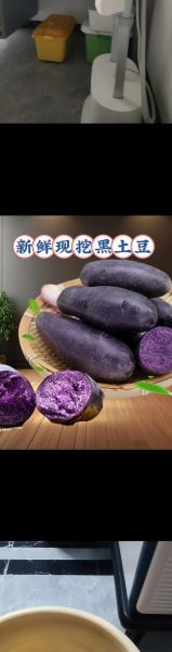 黑美人土豆种子多少钱一斤_黑美人土豆种子怎么种-第2张图片-山城妙识