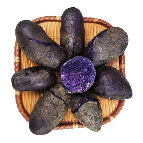 黑美人土豆种子多少钱一斤_黑美人土豆种子怎么种-第1张图片-山城妙识