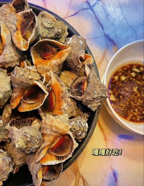 大海螺煮多久_大海螺煮多久才熟-第2张图片-山城妙识 大海螺煮多久_大海螺煮多久才熟-第2张图片-山城妙识