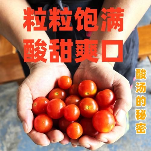 酸汤火锅底料怎么做_正宗贵州红酸汤配方-第3张图片-山城妙识