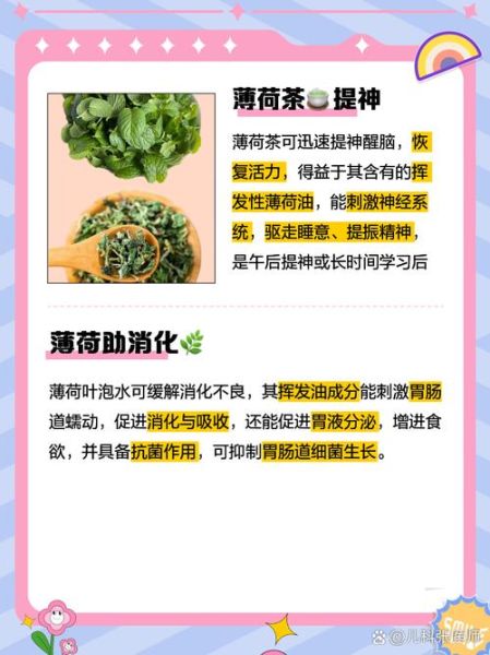 薄荷叶的功效与作用及禁忌症_薄荷叶泡水喝的禁忌-第2张图片-山城妙识