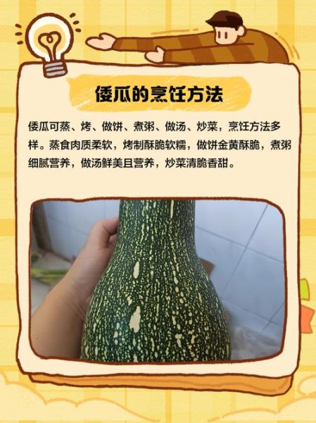 北方倭瓜是什么_北方倭瓜怎么种-第1张图片-山城妙识 北方倭瓜是什么_北方倭瓜怎么种-第1张图片-山城妙识