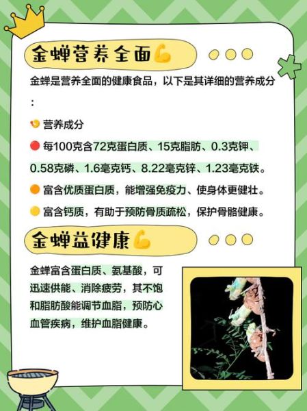 吃金蝉有什么好处_金蝉营养价值高吗-第1张图片-山城妙识 吃金蝉有什么好处_金蝉营养价值高吗-第1张图片-山城妙识