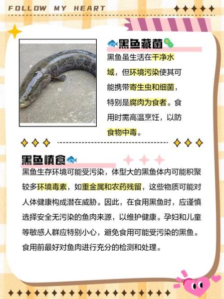 黑鱼的营养价值及功效_黑鱼怎么吃最补-第2张图片-山城妙识 黑鱼的营养价值及功效_黑鱼怎么吃最补-第2张图片-山城妙识