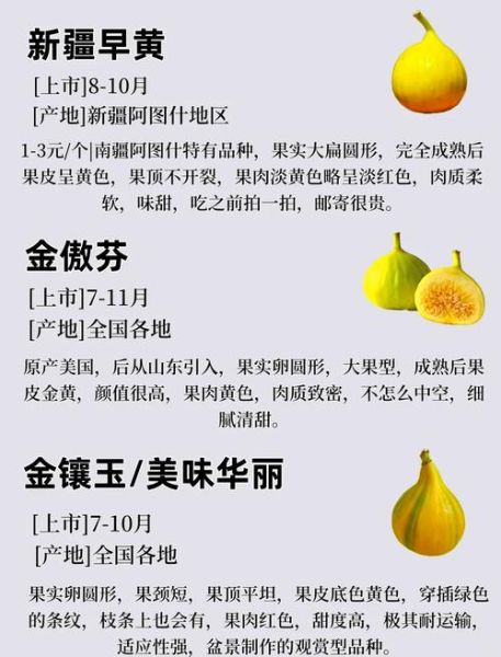 口感最好的无花果品种_哪个品种最甜-第1张图片-山城妙识 口感最好的无花果品种_哪个品种最甜-第1张图片-山城妙识
