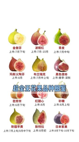 口感最好的无花果品种_哪个品种最甜-第3张图片-山城妙识 口感最好的无花果品种_哪个品种最甜-第3张图片-山城妙识