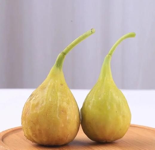 口感最好的无花果品种_哪个品种最甜-第2张图片-山城妙识 口感最好的无花果品种_哪个品种最甜-第2张图片-山城妙识
