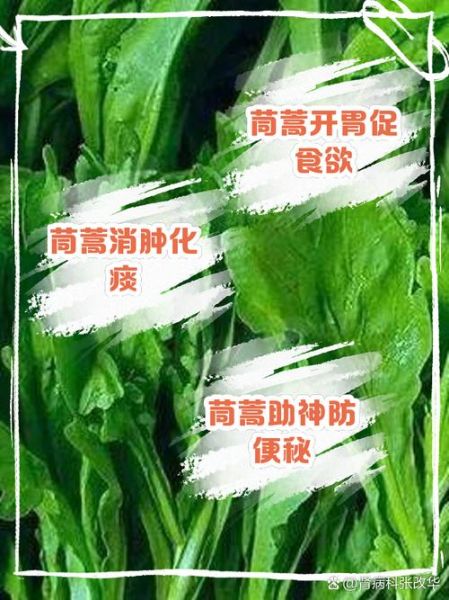 茼蒿菜什么人不能吃_茼蒿禁忌人群-第1张图片-山城妙识