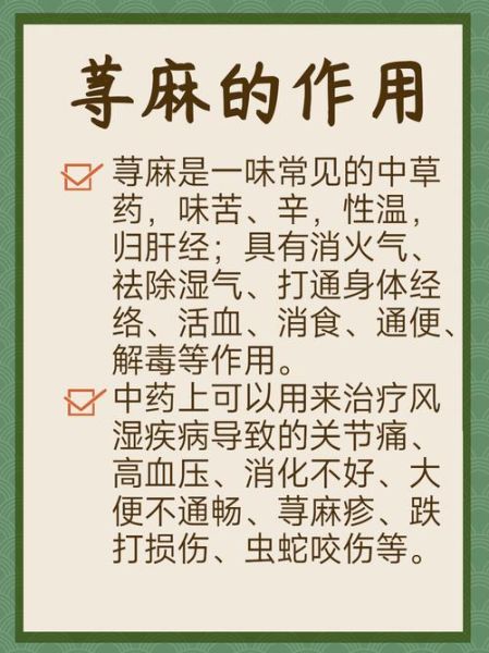 麻叶荨麻的功效与作用_麻叶荨麻怎么食用-第2张图片-山城妙识 麻叶荨麻的功效与作用_麻叶荨麻怎么食用-第2张图片-山城妙识