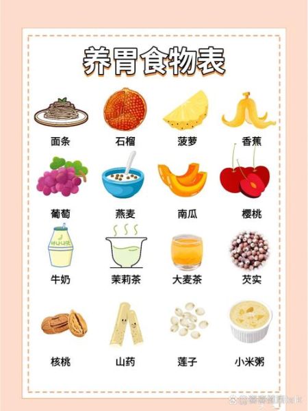 养胃吃什么食物最好_10种养胃食物推荐-第2张图片-山城妙识 养胃吃什么食物最好_10种养胃食物推荐-第2张图片-山城妙识