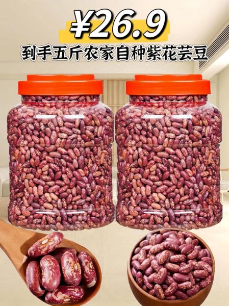 芸豆品种大全_芸豆哪个品种产量高-第2张图片-山城妙识