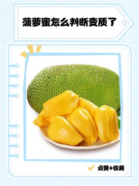 菠萝蜜果肉坏了能吃吗_怎么判断菠萝蜜坏了-第1张图片-山城妙识 菠萝蜜果肉坏了能吃吗_怎么判断菠萝蜜坏了-第1张图片-山城妙识