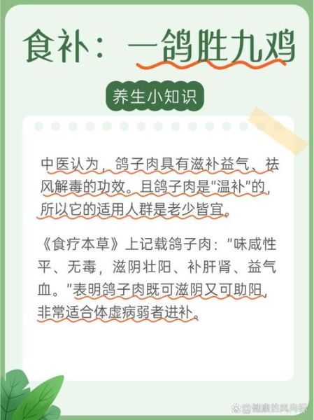 鸽子肉的营养价值及功效_鸽子肉的禁忌有哪些-第1张图片-山城妙识 鸽子肉的营养价值及功效_鸽子肉的禁忌有哪些-第1张图片-山城妙识
