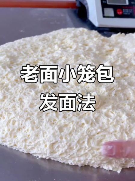 老面小笼包发面配方_如何蒸出皮薄汁多-第1张图片-山城妙识