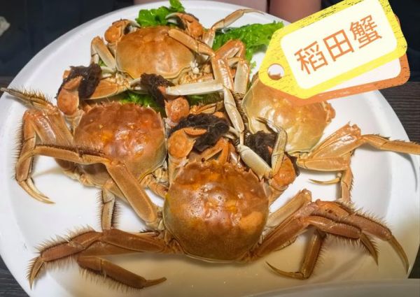 盘锦大米为什么好吃_盘锦河蟹几月份最肥-第1张图片-山城妙识