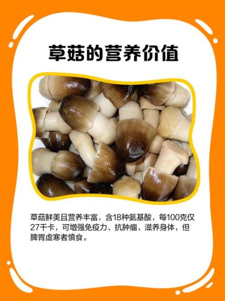 草菇的营养价值及功效与作用_草菇怎么吃最营养-第2张图片-山城妙识