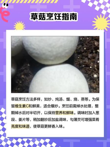 草菇的营养价值及功效与作用_草菇怎么吃最营养-第3张图片-山城妙识