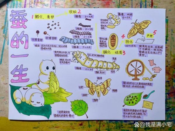 蚕图片大全_蚕的生长过程图片-第3张图片-山城妙识
