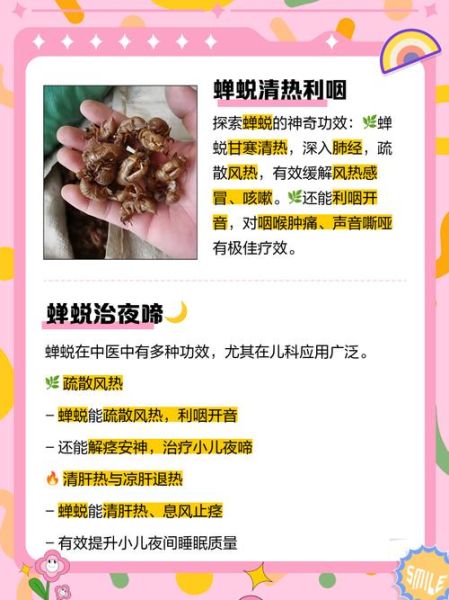 知了壳有什么功效_知了壳怎么服用-第1张图片-山城妙识 知了壳有什么功效_知了壳怎么服用-第1张图片-山城妙识