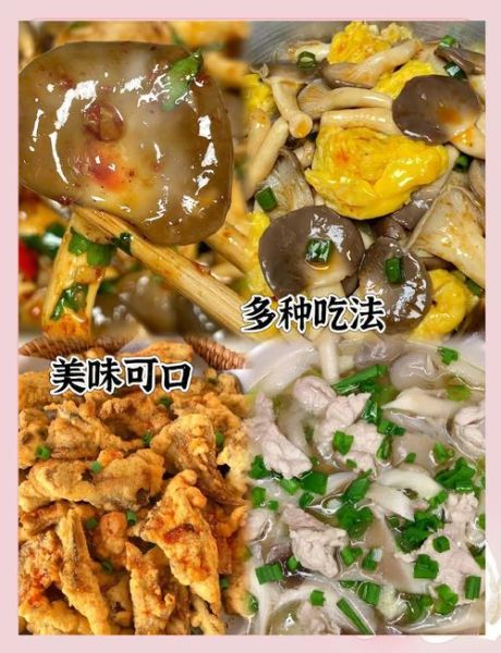 平菇怎么种植_平菇种植视频教程-第2张图片-山城妙识