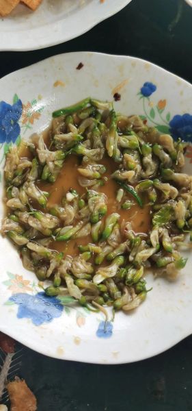 凉拌槐花怎么做_槐花凉拌好吃吗-第1张图片-山城妙识