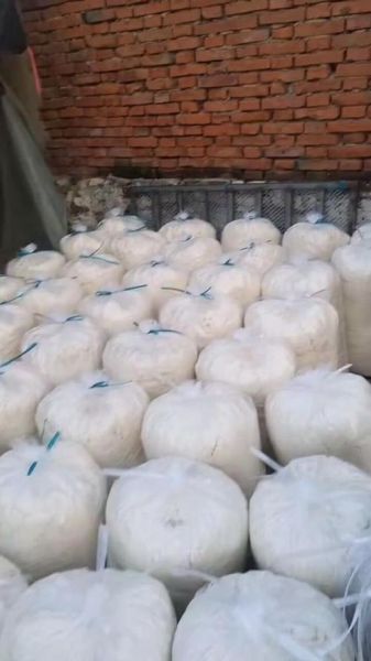 豆腐渣怎么做肥料_豆腐渣沤肥多久能用-第3张图片-山城妙识