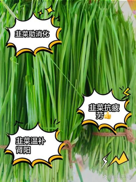 韭菜的功效与作用_韭菜的副作用有哪些-第2张图片-山城妙识