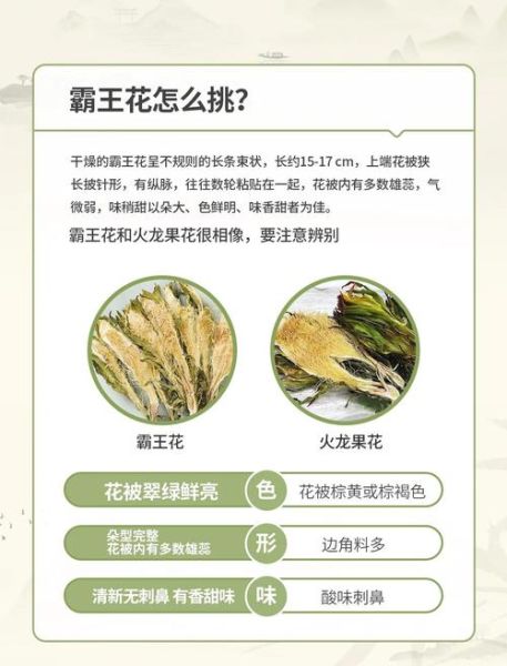 霸王花有什么功效与作用_霸王花怎么吃最好-第3张图片-山城妙识