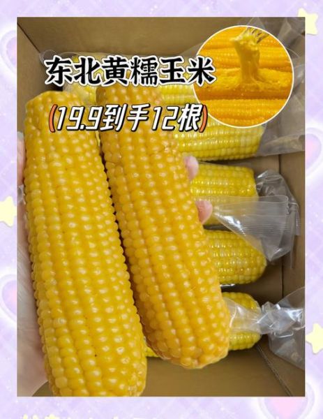 糯玉米哪个品种最好吃_糯玉米怎么挑选-第2张图片-山城妙识