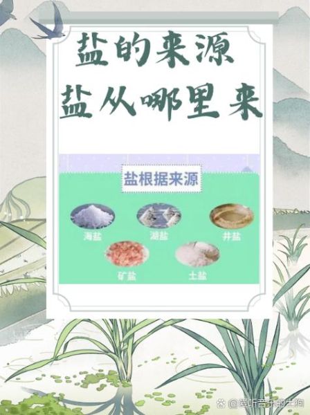 盐是怎么做的_海盐与井盐的制作区别-第2张图片-山城妙识
