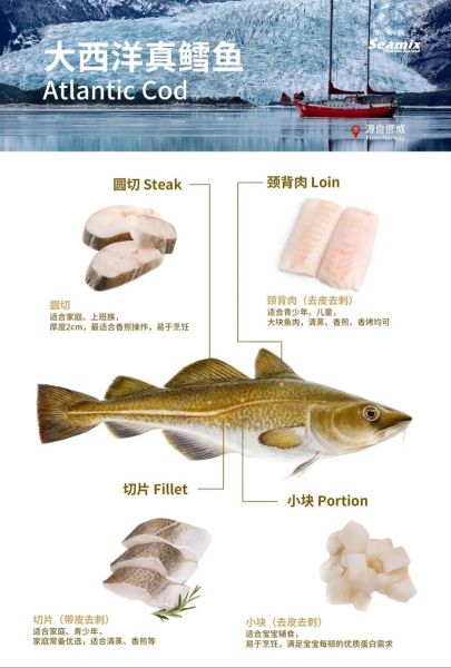 鳕鱼是深海鱼吗_鳕鱼生活水深多少米-第1张图片-山城妙识 鳕鱼是深海鱼吗_鳕鱼生活水深多少米-第1张图片-山城妙识