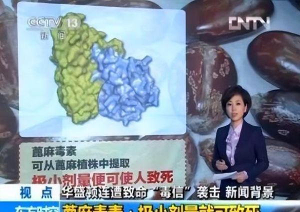 蓖麻毒素中毒症状_蓖麻毒素解毒方法-第2张图片-山城妙识 蓖麻毒素中毒症状_蓖麻毒素解毒方法-第2张图片-山城妙识