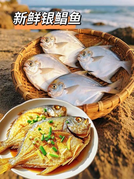 哪种鲳鱼好吃_金鲳银鲳白鲳怎么选-第2张图片-山城妙识