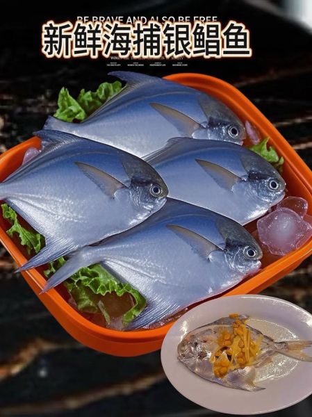 哪种鲳鱼好吃_金鲳银鲳白鲳怎么选-第3张图片-山城妙识