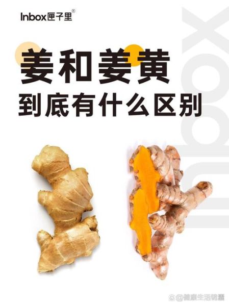 黄姜的功效与作用_黄姜和生姜的区别-第3张图片-山城妙识