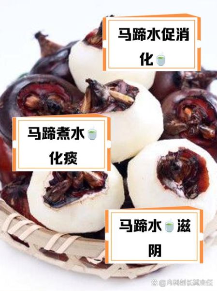 煮熟荸荠的功效与作用_哪些人不能吃-第1张图片-山城妙识 煮熟荸荠的功效与作用_哪些人不能吃-第1张图片-山城妙识